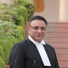 Internship Experience at the Chambers of Senior Advocate Pradeep Rai ...