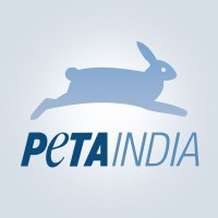 Job Vacancy At PETA India - Legally Flawless